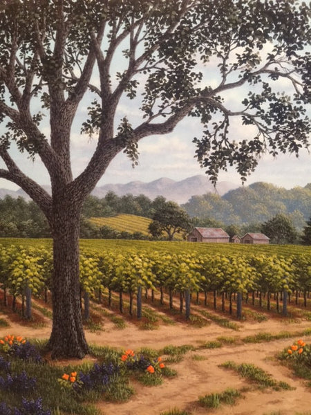 Spring in Napa - Limited Edition